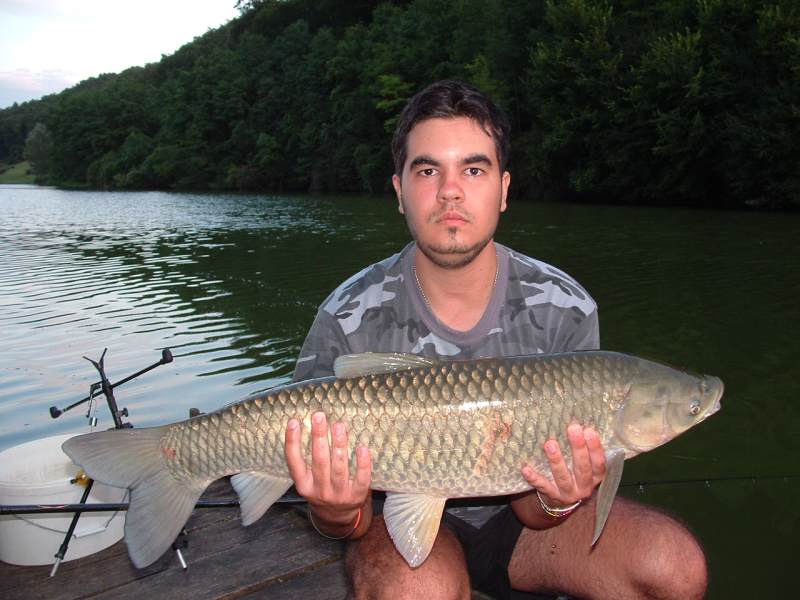 waldner - Amur - Haldorádó horgász áruház