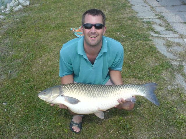 malacy - Amur - Haldorádó horgász áruház