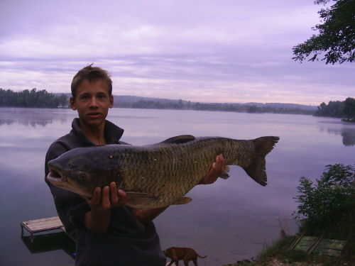 kingkobe08 - Amur - Haldorádó horgász áruház