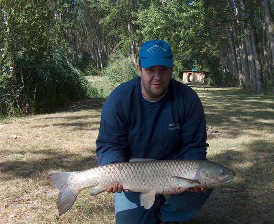 lord - Amur - Haldorádó horgász áruház