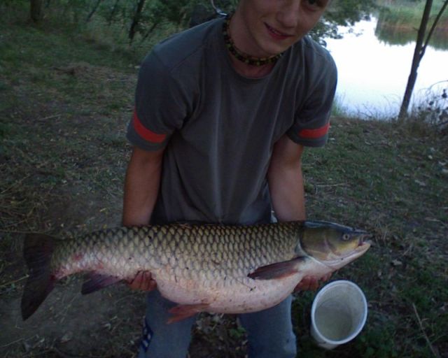 csiga666 - Amur - Haldorádó horgász áruház