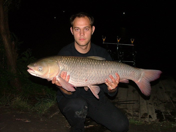 gurabli - Amur - Haldorádó horgász áruház