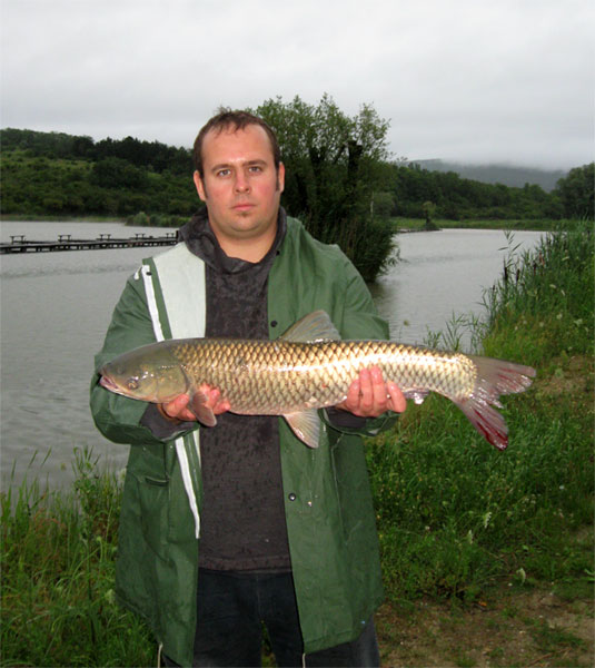 dtamas - Amur - Haldorádó horgász áruház