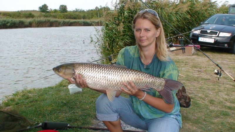 andrea777 - Amur - Haldorádó horgász áruház