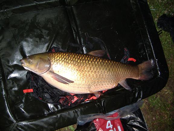 purk - Amur - Haldorádó horgász áruház