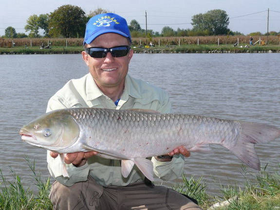 dome - Amur - Haldorádó horgász áruház