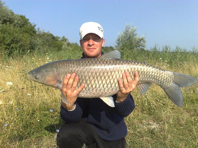 buci1985 - Amur - Haldorádó horgász áruház