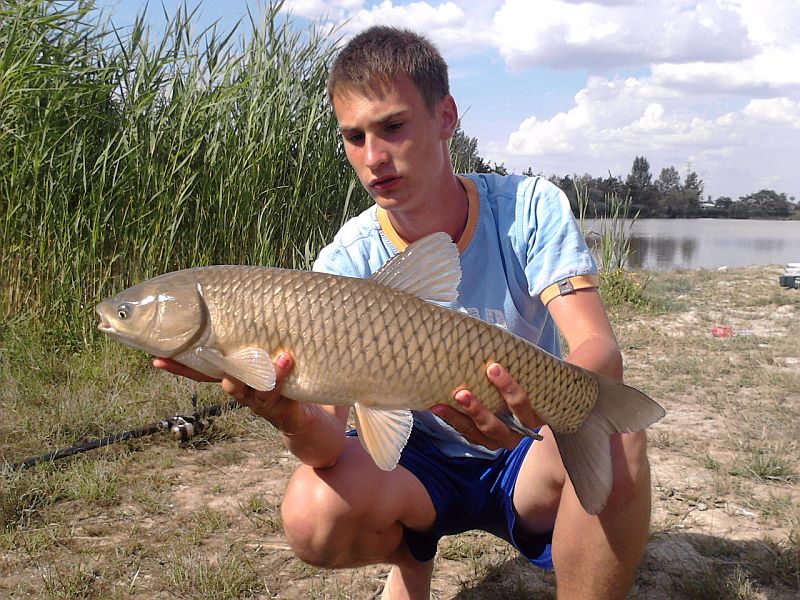 tamasi09 - Amur - Haldorádó horgász áruház