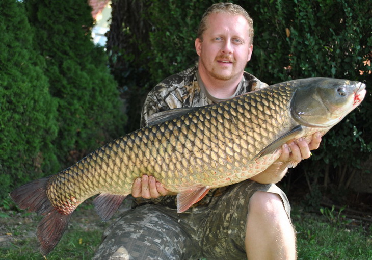 szabicscarp - Amur - Haldorádó horgász áruház