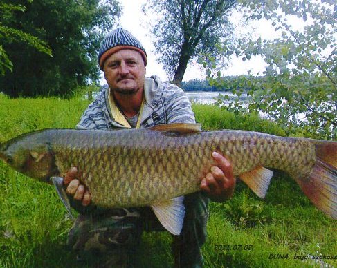 matifu01 - Amur - Haldorádó horgász áruház