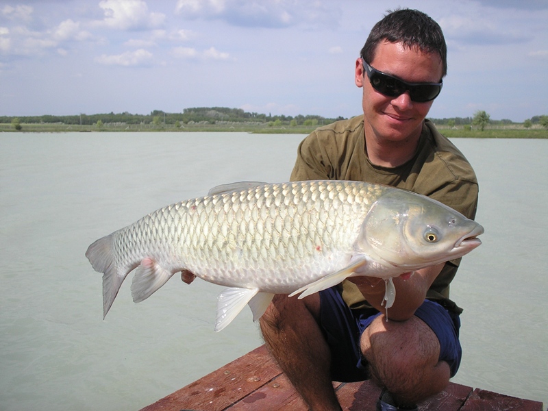 jdcm333 - Amur - Haldorádó horgász áruház