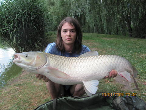 avril - Amur - Haldorádó horgász áruház