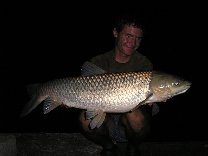 jdcm333 - Amur - Haldorádó horgász áruház