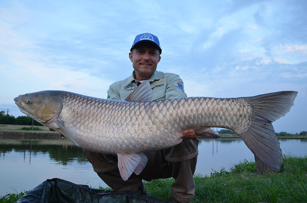 dome - Amur - Haldorádó horgász áruház