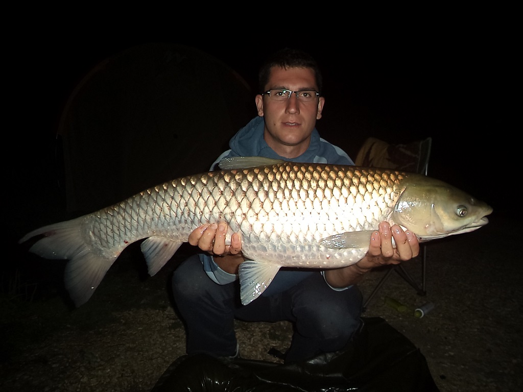 dodi22 - Amur - Haldorádó horgász áruház