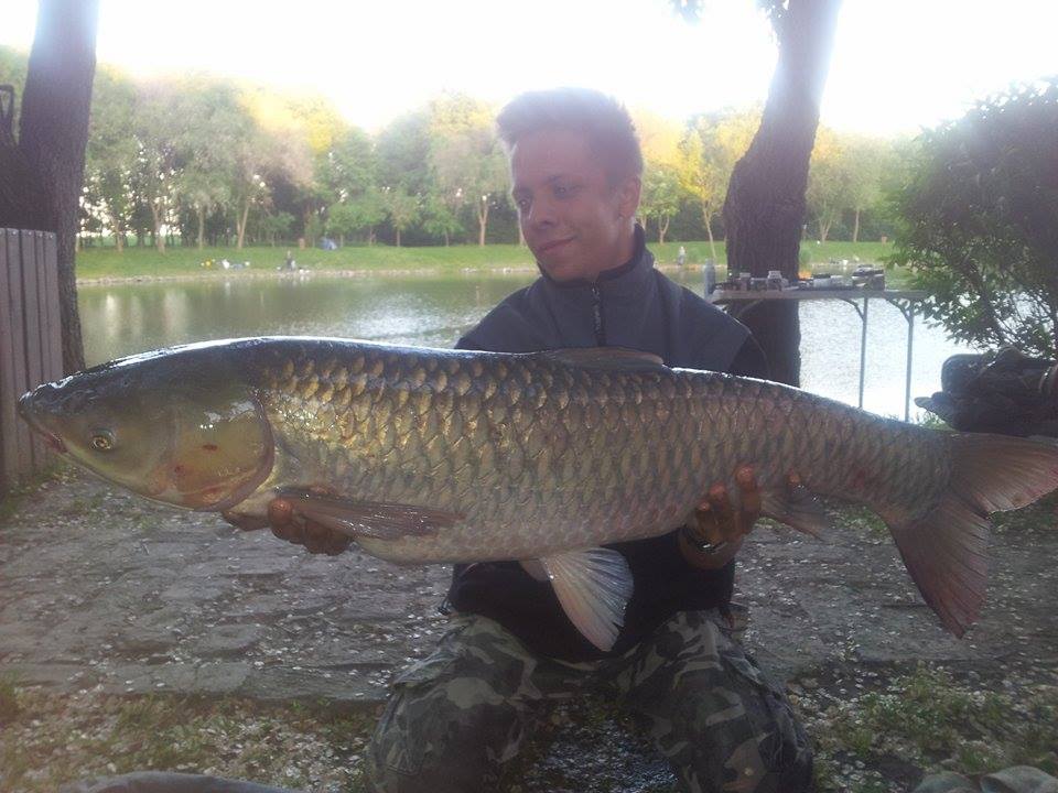 gabi17090 - Amur - Haldorádó horgász áruház