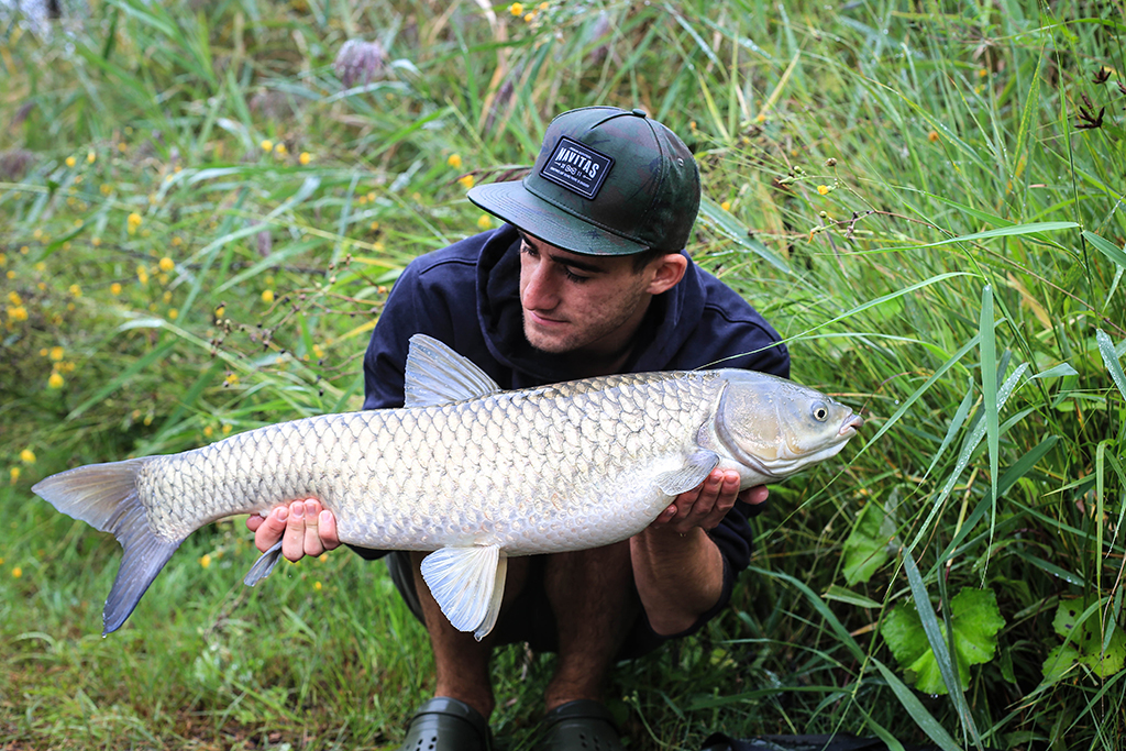 gusztav_toth - Amur - Haldorádó horgász áruház