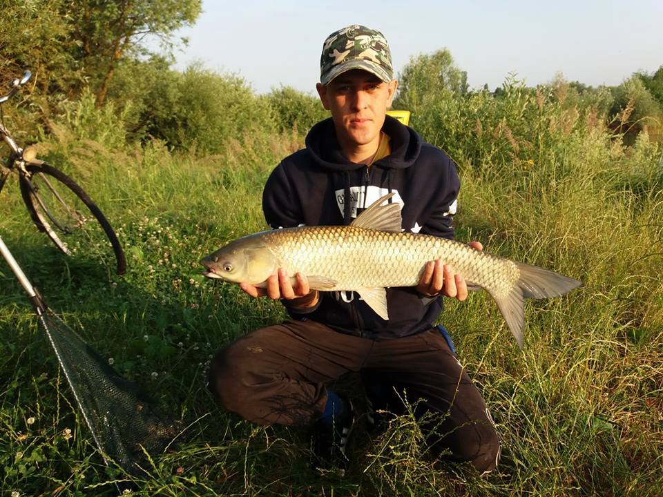 joni9910 - Amur - Haldorádó horgász áruház