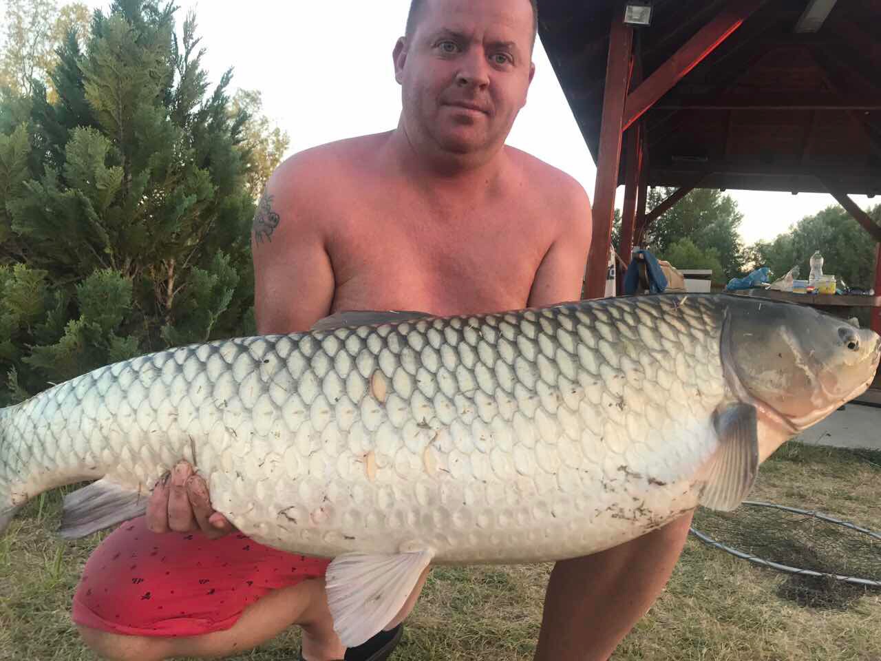 gabry001 - Amur - Haldorádó horgász áruház