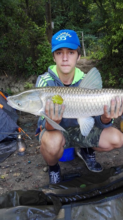 dever14 - Amur - Haldorádó horgász áruház