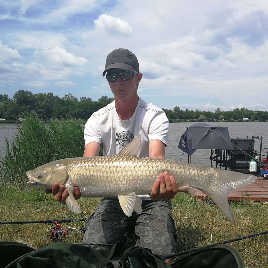 krarimi - Amur - Haldorádó horgász áruház