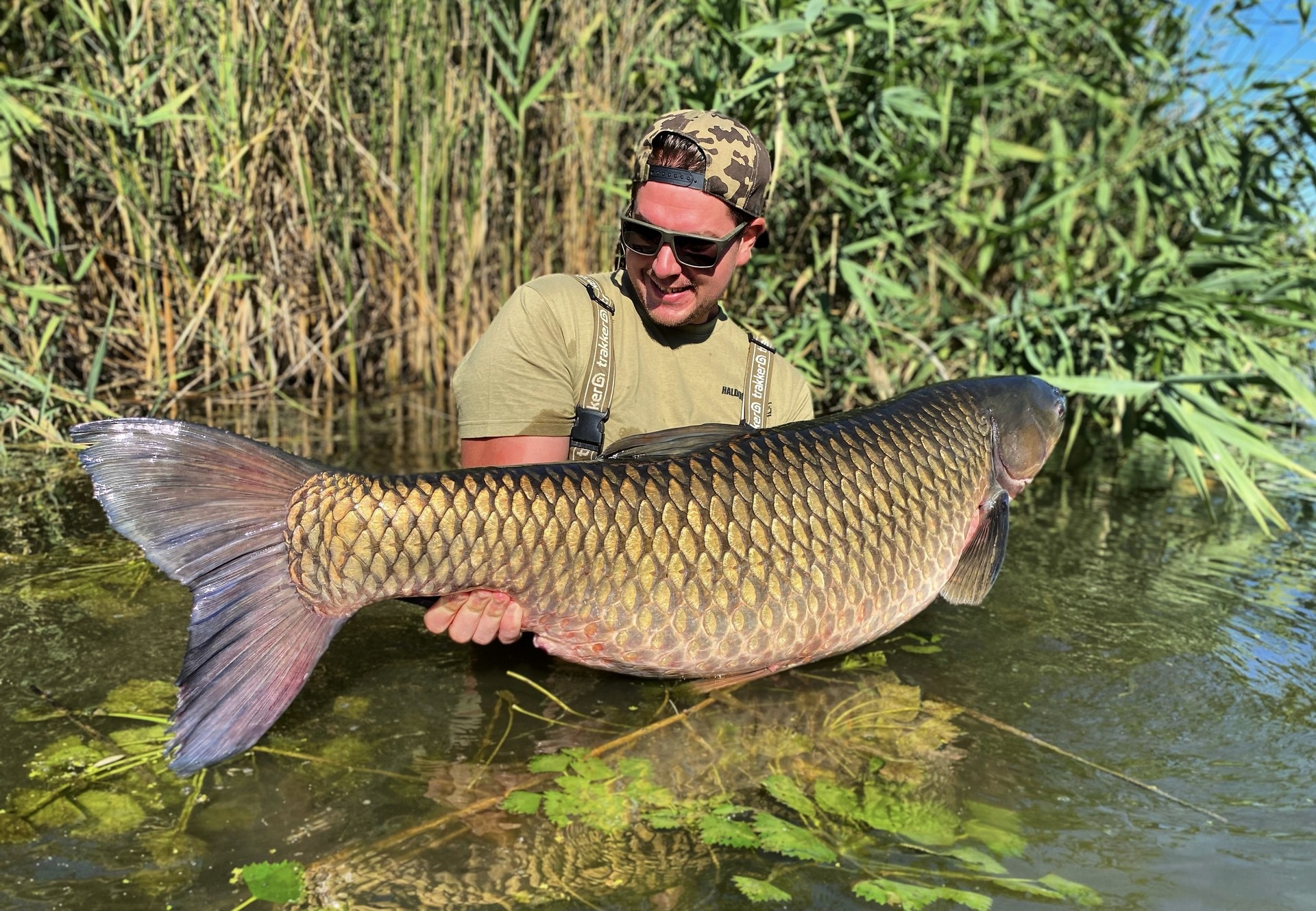 avicii - Amur - Haldorádó horgász áruház