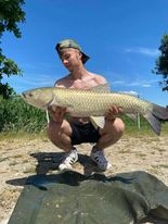 imre_hegedus - Amur - Haldorádó horgász áruház