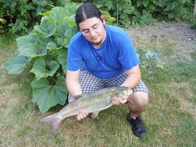 digurgir - Balin - Haldorádó horgász áruház