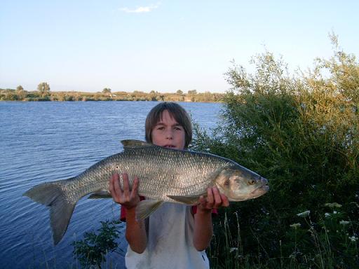 holp7 - Balin - Haldorádó horgász áruház