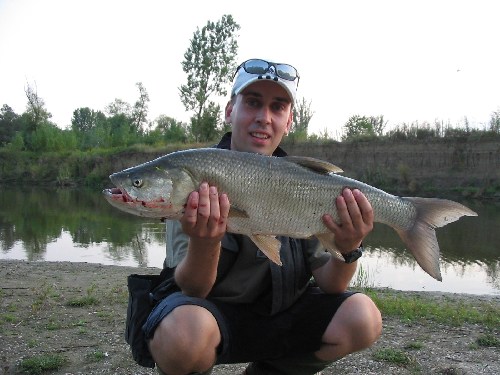 gpepp - Balin - Haldorádó horgász áruház