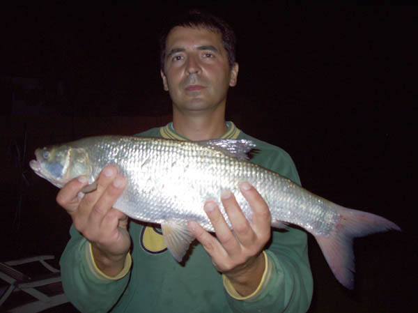 opeti - Balin - Haldorádó horgász áruház