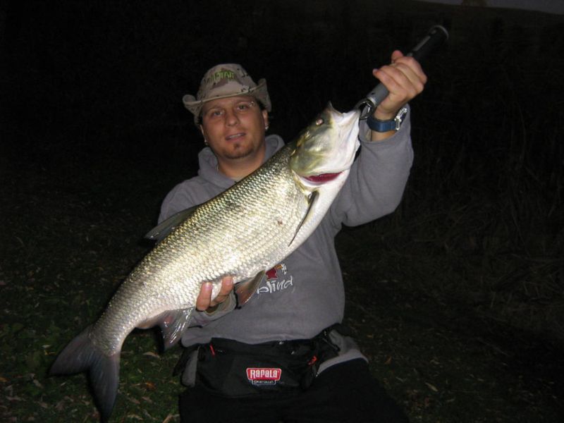 victorcnr - Balin - Haldorádó horgász áruház