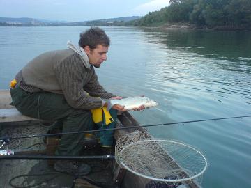peti70 - Balin - Haldorádó horgász áruház
