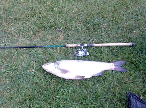 csabaijoci - Balin - Haldorádó horgász áruház