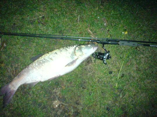 peti70 - Balin - Haldorádó horgász áruház