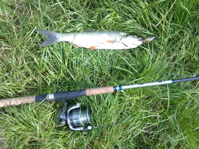 docci - Balin - Haldorádó horgász áruház