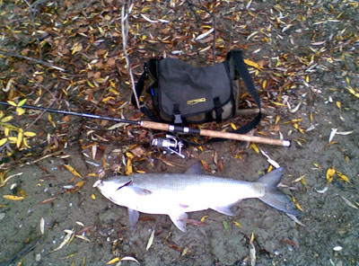 ilem - Balin - Haldorádó horgász áruház