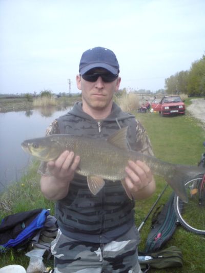 keszegh - Balin - Haldorádó horgász áruház