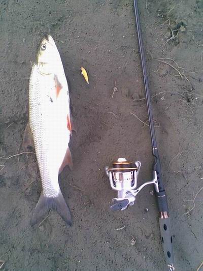 alika74 - Balin - Haldorádó horgász áruház