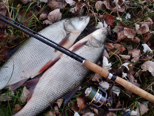 pecas1994 - Balin - Haldorádó horgász áruház