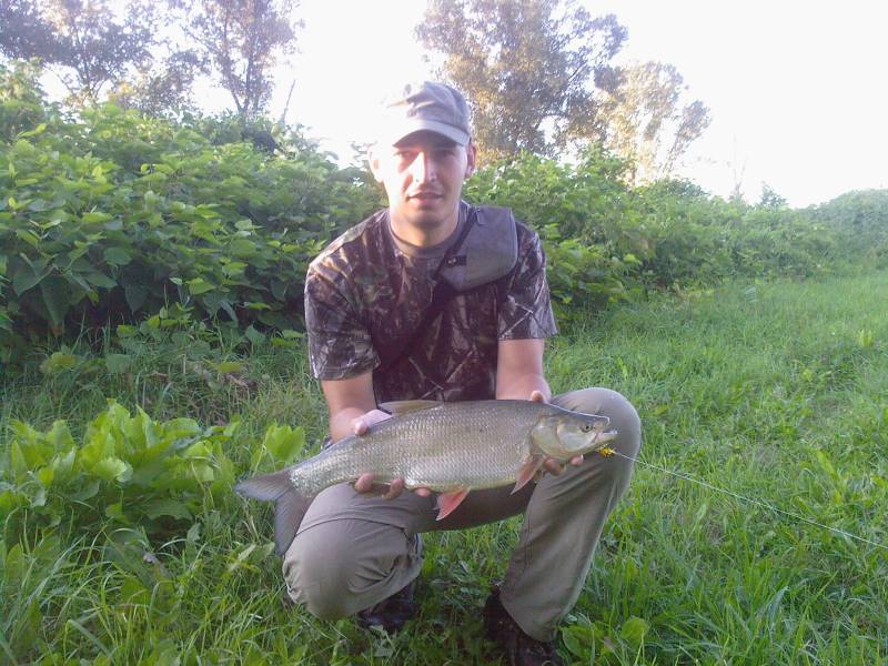 bukyferi - Balin - Haldorádó horgász áruház