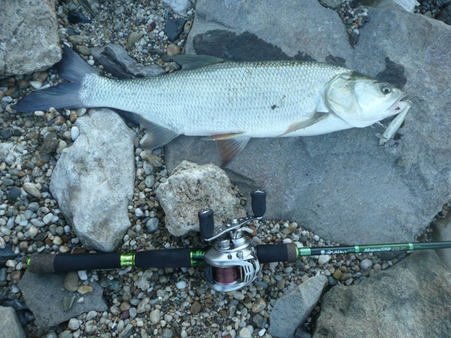 getair - Balin - Haldorádó horgász áruház