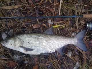 devericsi - Balin - Haldorádó horgász áruház