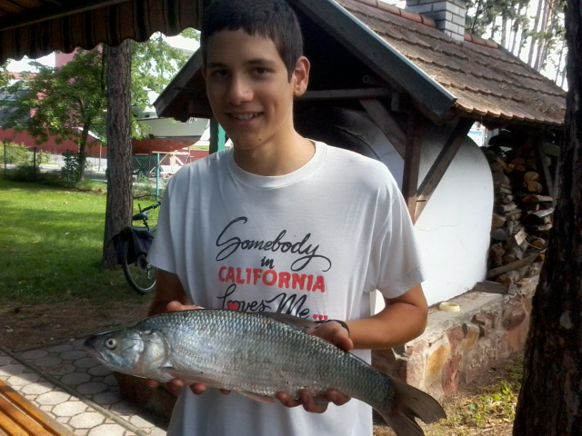 csobanhorgasz - Balin - Haldorádó horgász áruház