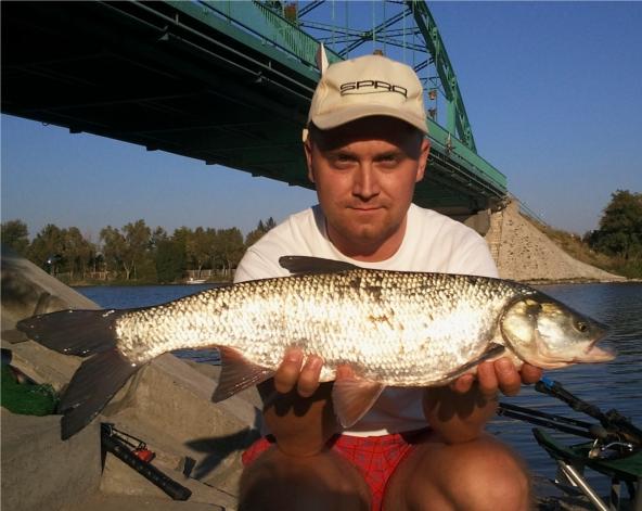 revolutionist - Balin - Haldorádó horgász áruház