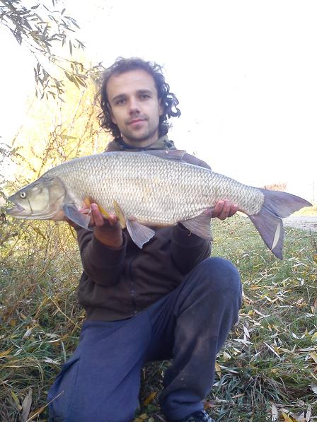 bufi - Balin - Haldorádó horgász áruház