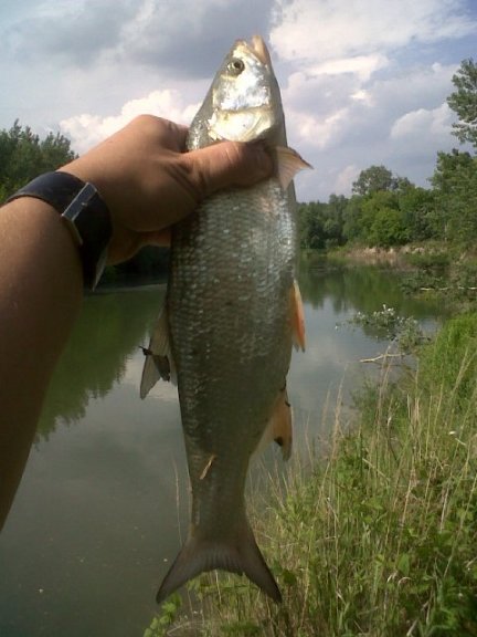 getair - Balin - Haldorádó horgász áruház