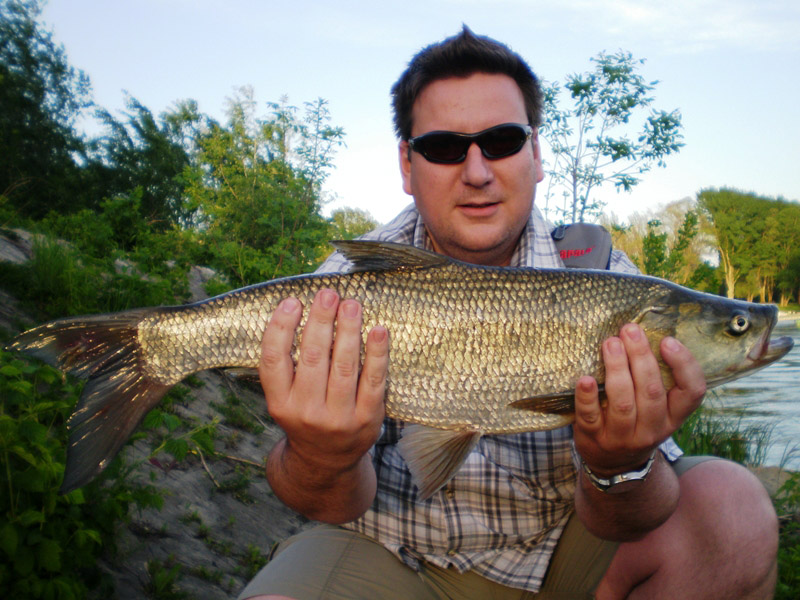 zalavazo - Balin - Haldorádó horgász áruház