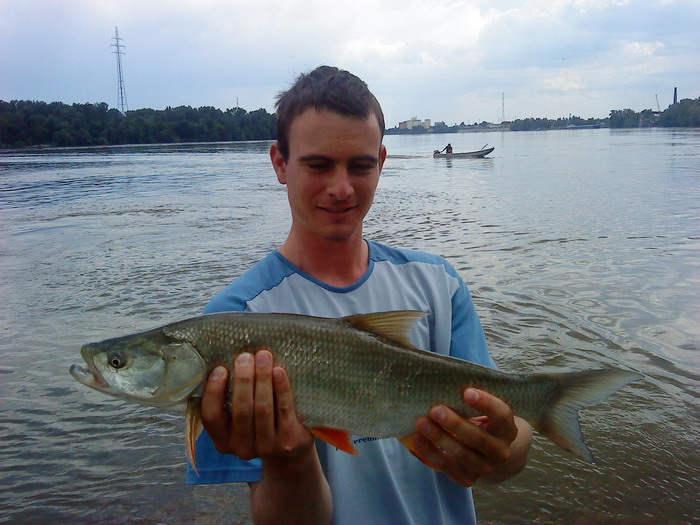 tommy0108 - Balin - Haldorádó horgász áruház