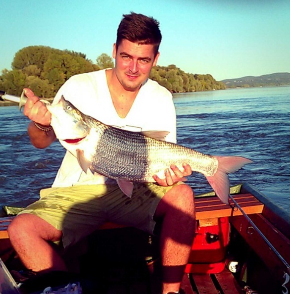 kaszas88 - Balin - Haldorádó horgász áruház